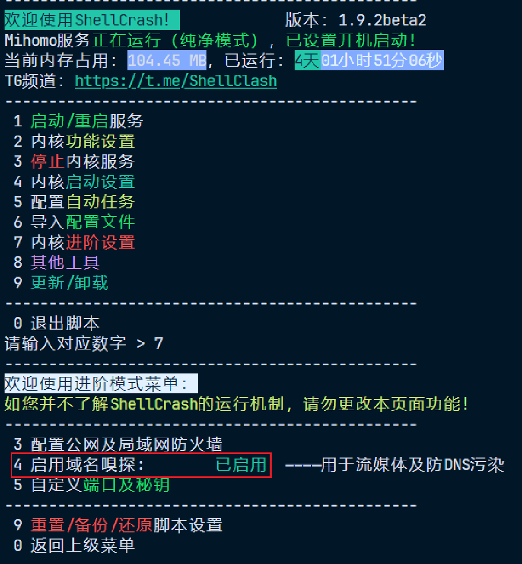 从入门到进阶：Tailscale + ShellCrash 异地组网和科学上网